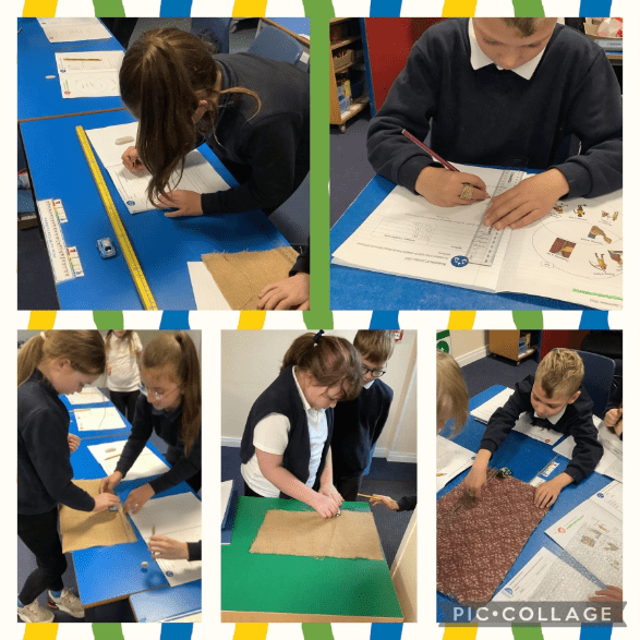 Curriculum - Science - Sunnybrow Primary School